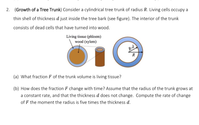 Solved (Growth of a Tree Trunk) Consider a cylindrical tree | Chegg.com