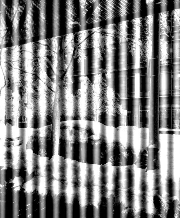 remove noise from this image using notch filter using | Chegg.com