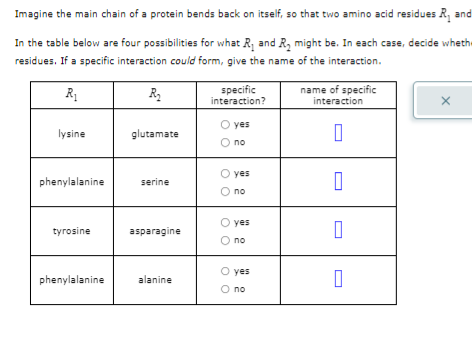Solved Imagine the main chain of a protein bends back on | Chegg.com