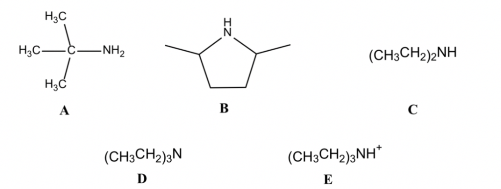 Solved H3C (CH3CH2)2NH 3 CH3CH2)3N (CH3CH2)3NH | Chegg.com