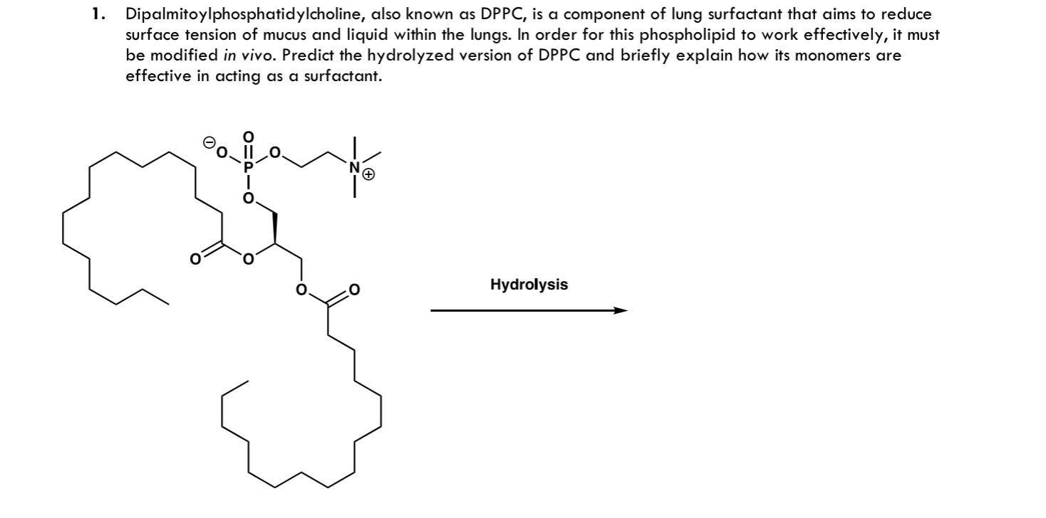 Solved 1. Dipalmitoylphosphatidylcholine, also known as | Chegg.com