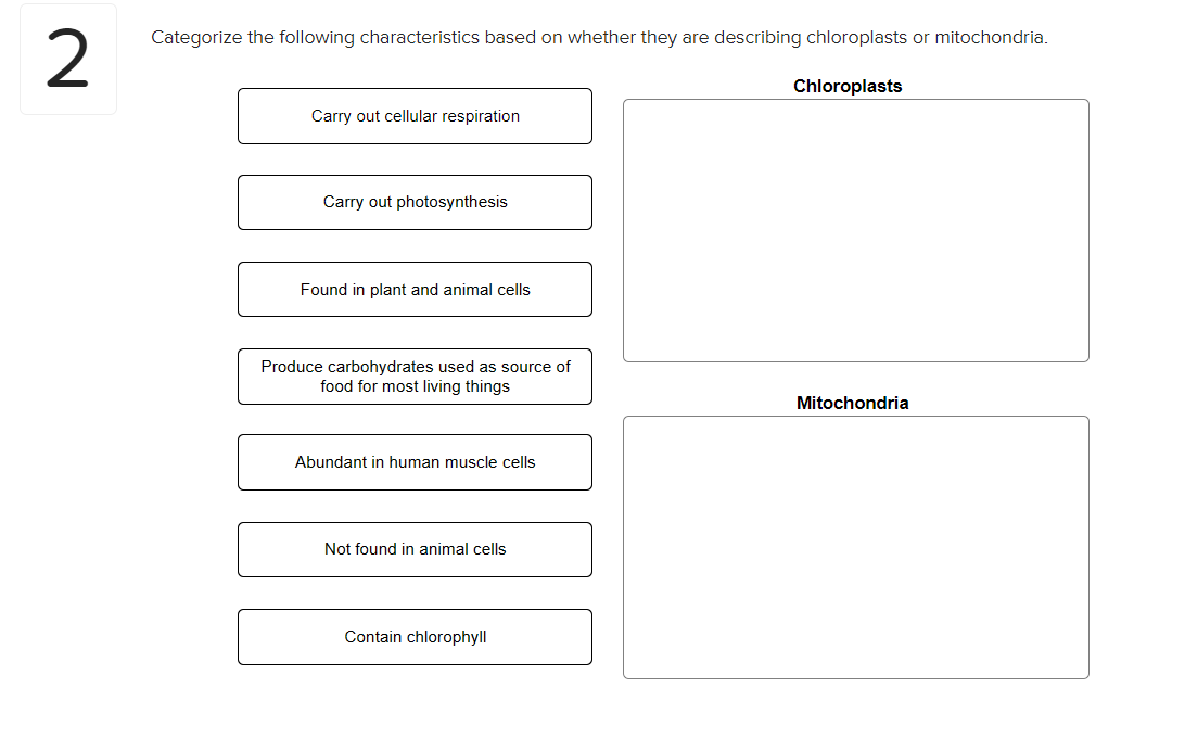 Solved Categorize the following characteristics based on | Chegg.com