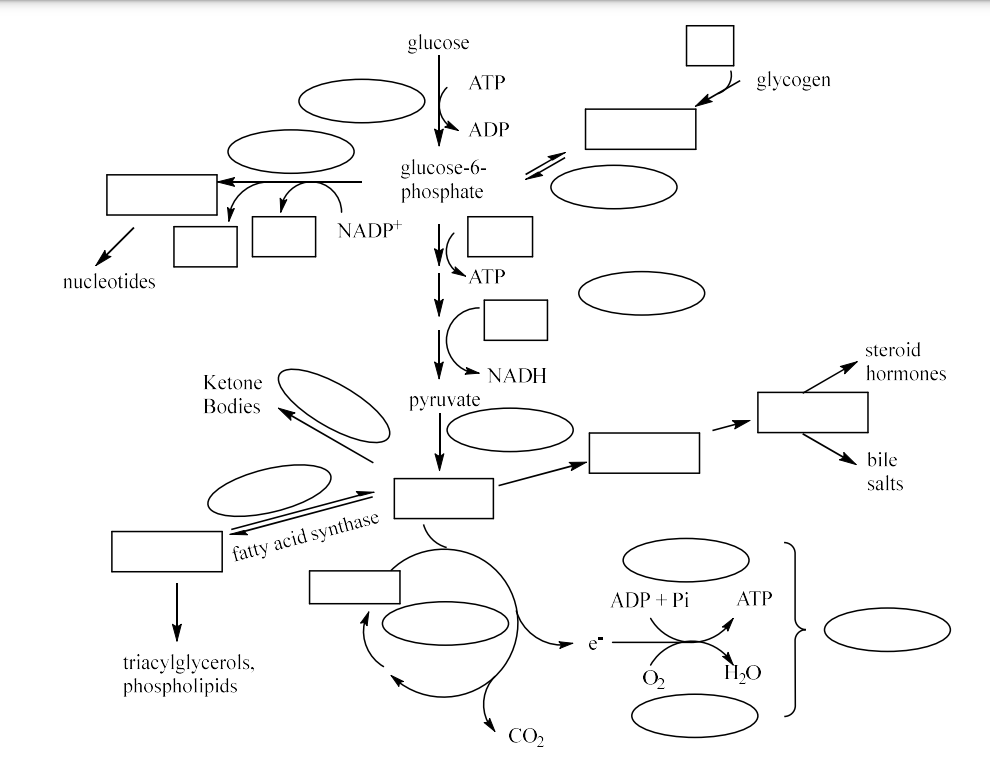 Solved The figure on the next page shows reactions that | Chegg.com