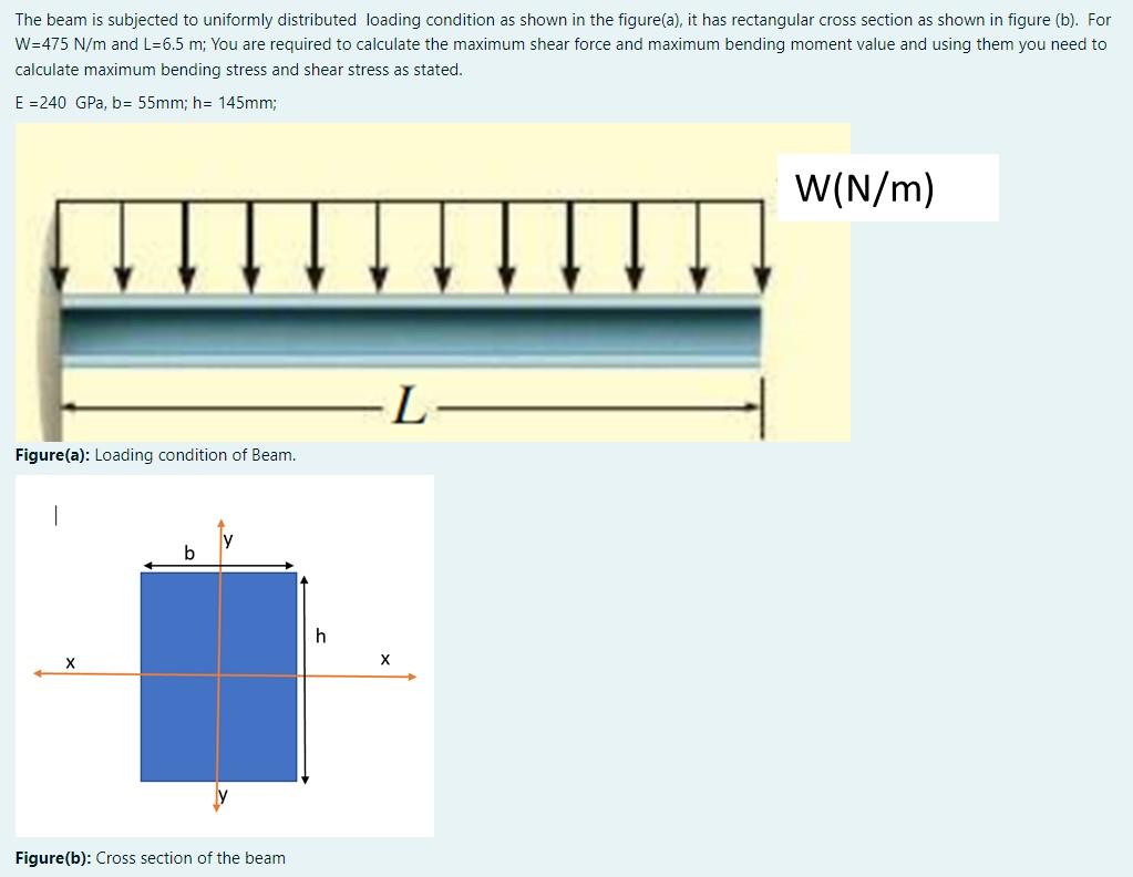 Solved Calculate the maximum shear force(N) in the beam. | Chegg.com