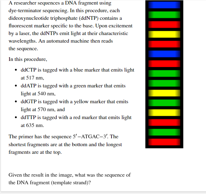 Solved A researcher sequences a DNA fragment using | Chegg.com