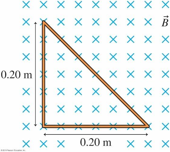 Solved The figure shows a triangular wire loop with both | Chegg.com