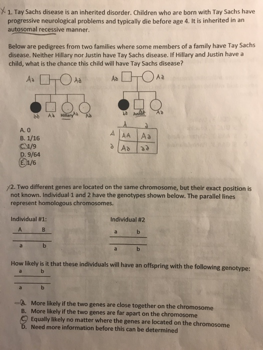Solved 1. Tay Sachs disease is an inherited disorder. | Chegg.com