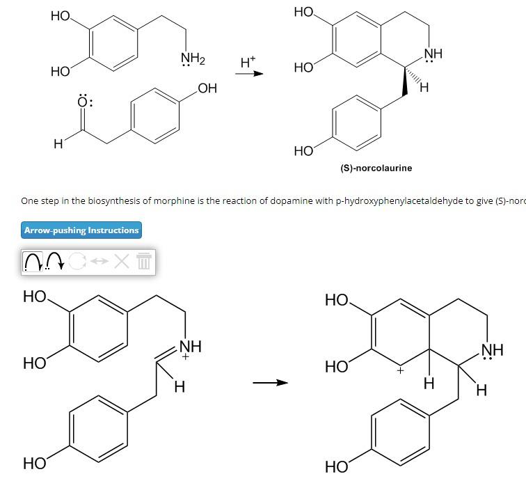 Solved (S)-norcolaurine One step in the biosynthesis of | Chegg.com