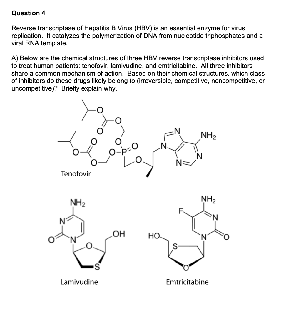 Solved Question 4 Reverse transcriptase of Hepatitis B Virus | Chegg.com