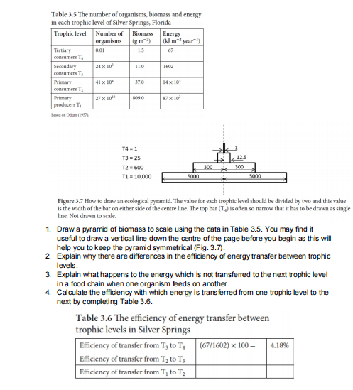 Freshwater Biome Energy Pyramid