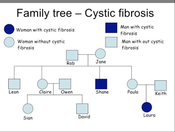 Solved Family tree - Cystic fibrosis Man with cystic | Chegg.com