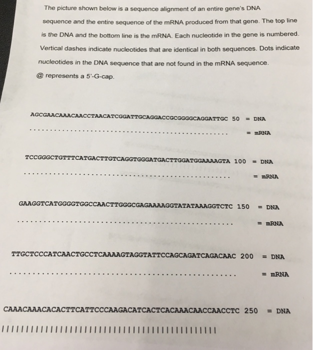 Solved The picture shown below is a sequence alignment of an | Chegg.com