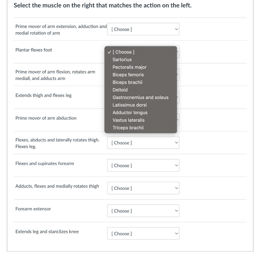 Solved Select the muscle on the right that matches the | Chegg.com
