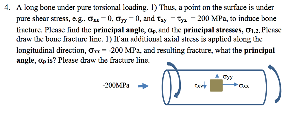 Solved A long bone under pure torsional loading. 1) Thus, a | Chegg.com