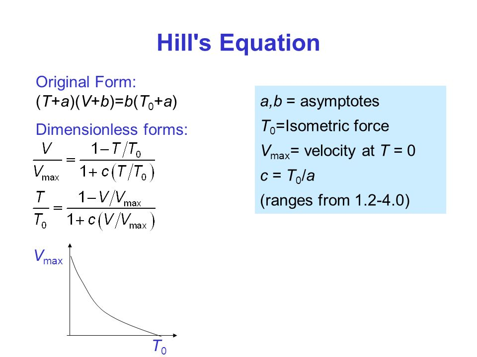 Solved You have to use HIlls equation for muscle contraction | Chegg.com