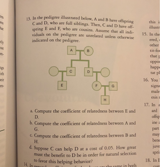 Solved In the pedigree illustrated below, A and B have | Chegg.com