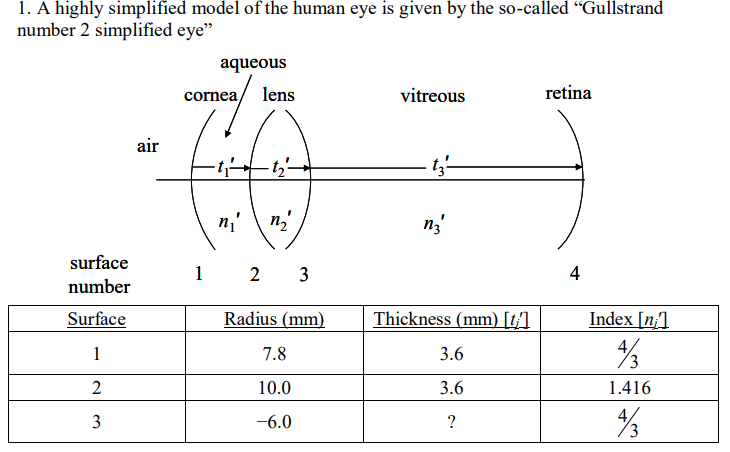 1. A highly simplified model of the human eye is | Chegg.com