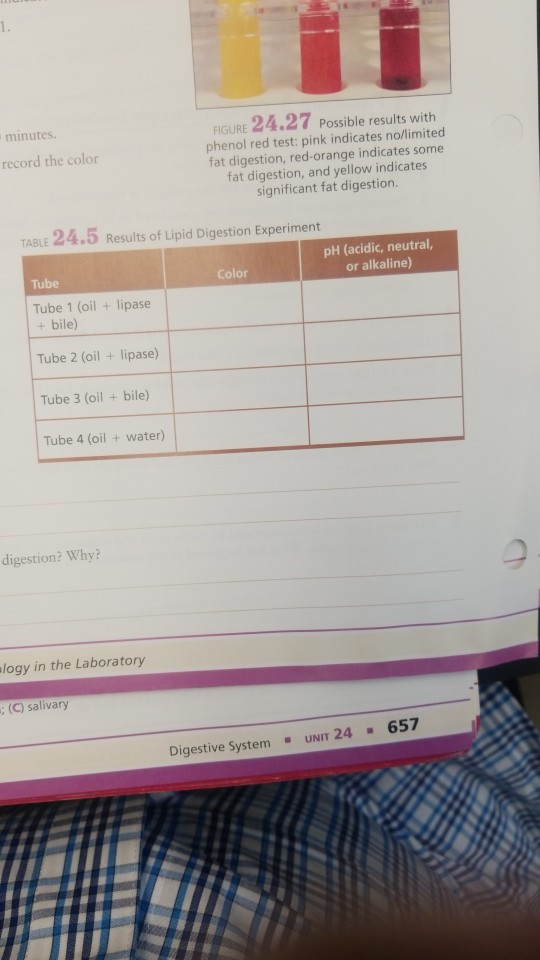 Solved minutes. record the color FIGURE 24.27 Possible | Chegg.com