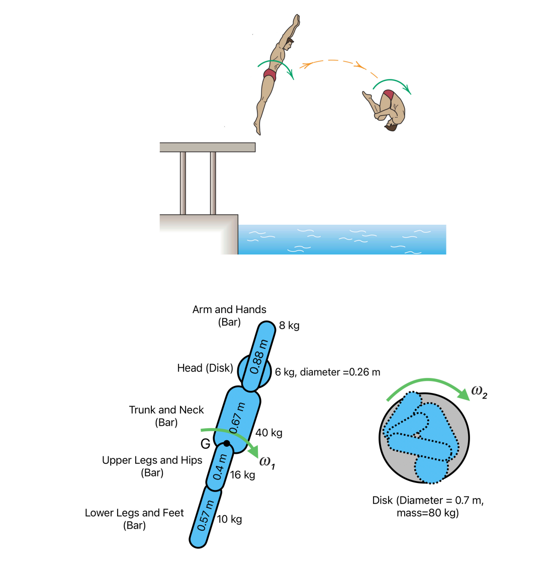 Solved Just after leaving the platform, the diver’s fully | Chegg.com