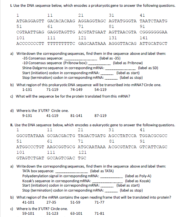 Solved 1. Use the DNA sequence below, which encodes a | Chegg.com