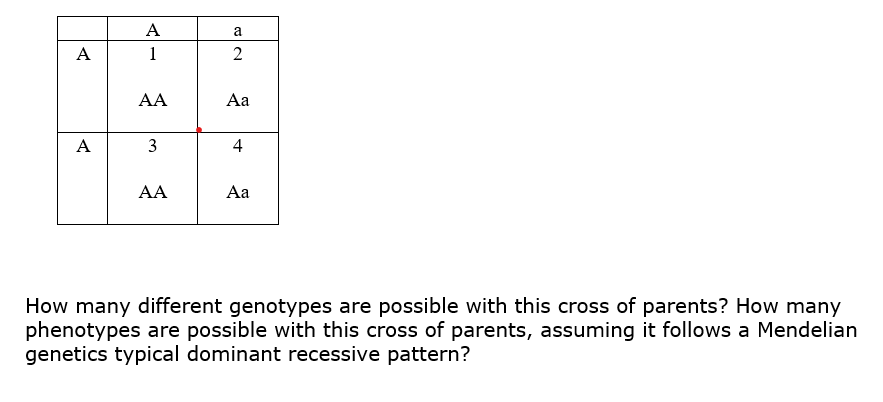 Solved ΑΙ A How many different genotypes are possible with | Chegg.com