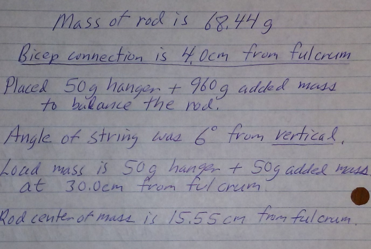Solved Part D-Modeling the Human Arm The concept of torque | Chegg.com