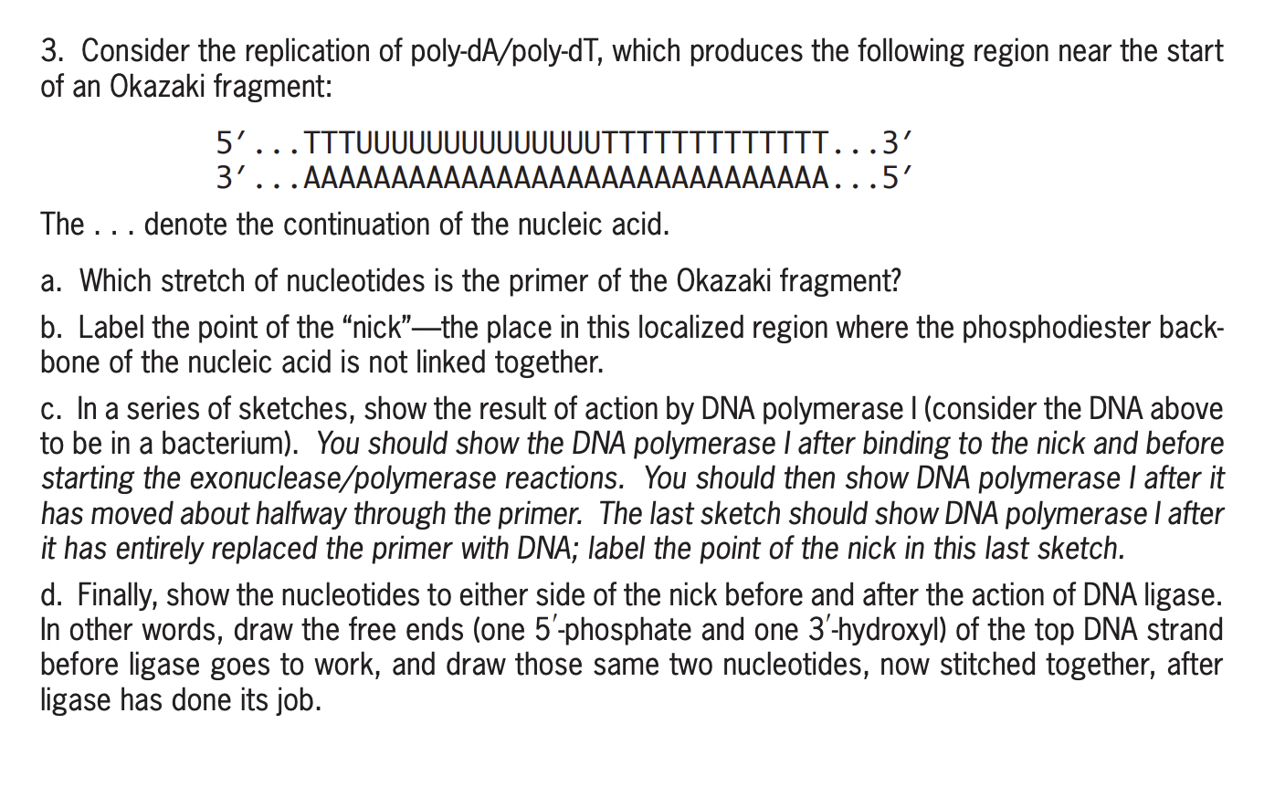 Solved 3. Consider the replication of poly-dA/poly-dT, which | Chegg.com