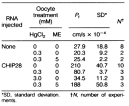 Solved P, SD RNA NA injected Oocyte treatment (MM) HgCI ME | Chegg.com