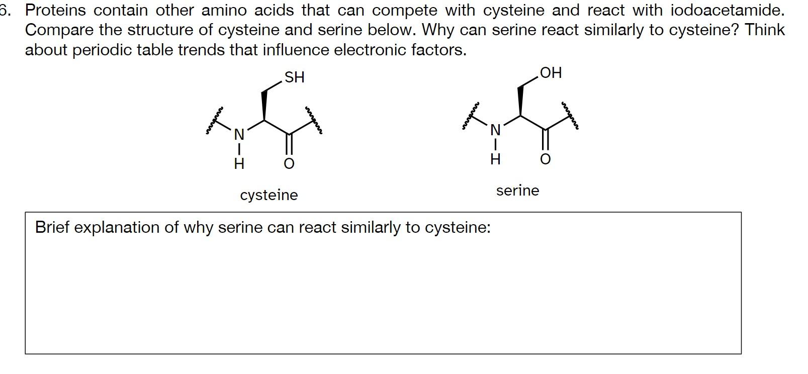 Solved Proteins contain other amino acids that can compete | Chegg.com