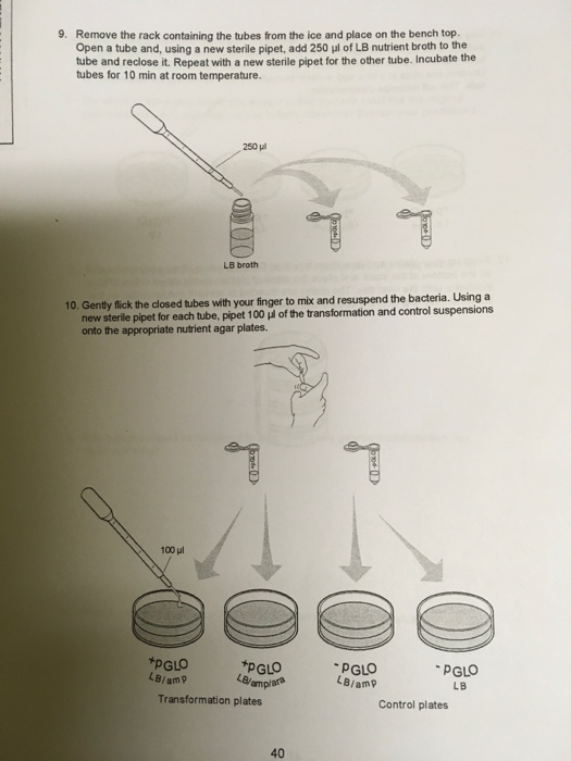 Solved Name Before collecting data and analyzing your | Chegg.com