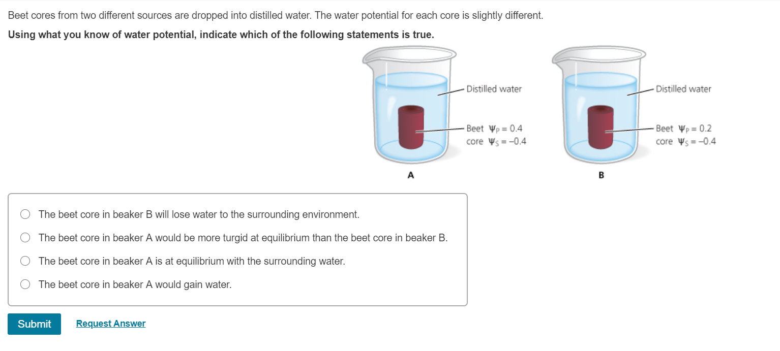 Solved Part B - Water potential and water movement Recall | Chegg.com