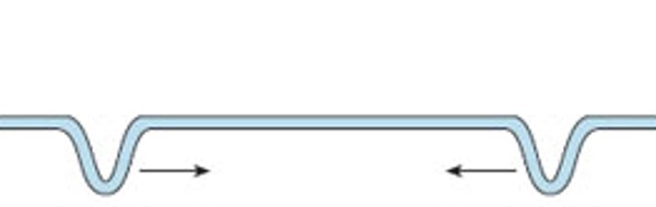Solved What happens to the string's vertical displacement | Chegg.com