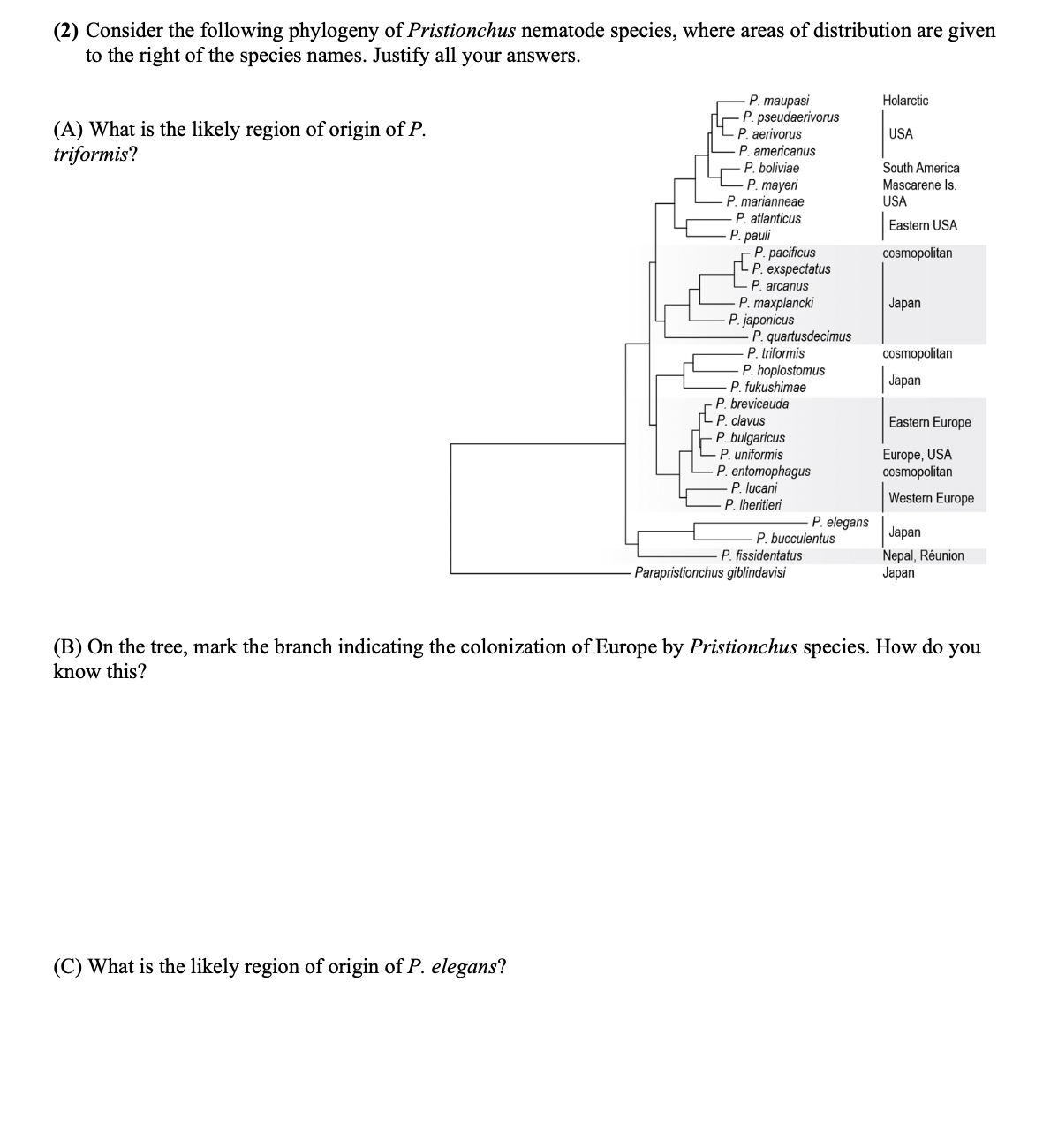 Solved (2) ﻿Consider the following phylogeny of Pristionchus | Chegg.com