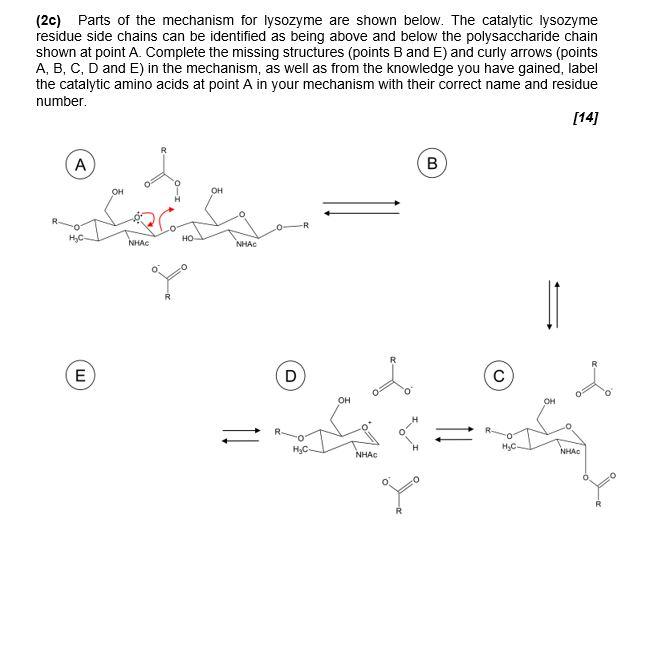 Solved Question 1: HIV Protease Enzyme System Human | Chegg.com Solved Question 1: HIV Protease Enzyme System Human | Chegg.com
