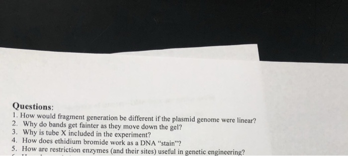 Solved Questions: 1. How would fragment generation be | Chegg.com