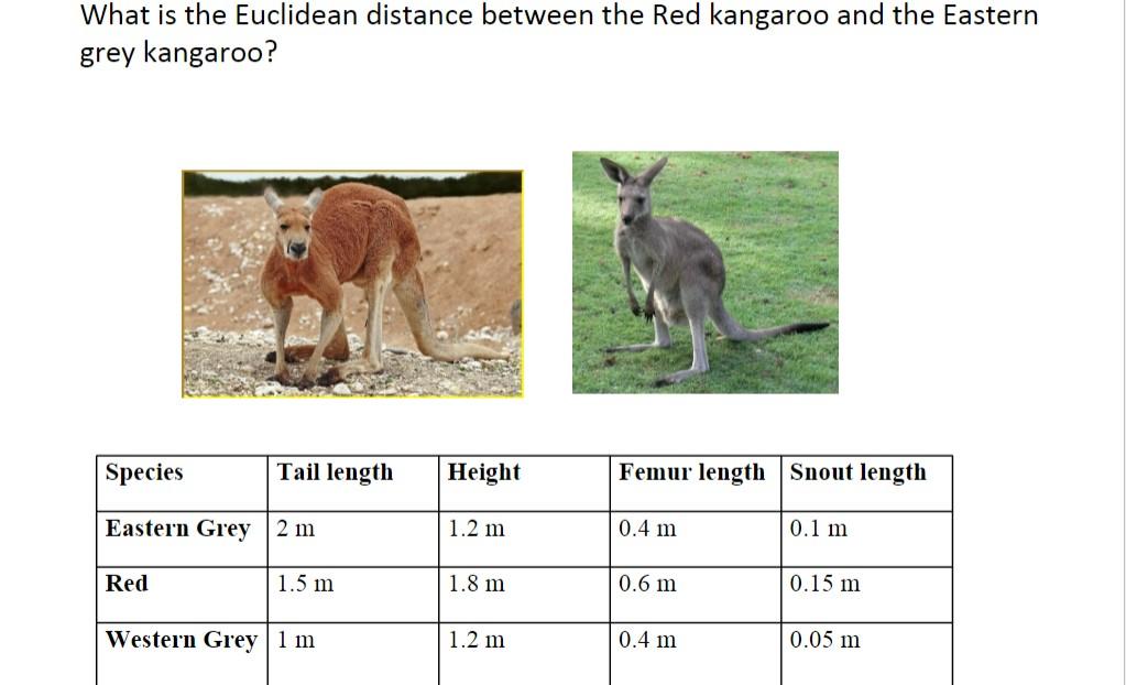 Solved What is the Euclidean distance between the Red | Chegg.com
