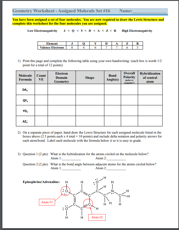 Solved Geometry Worksheet - Assigned Molecule Set #16 Name: | Chegg.com