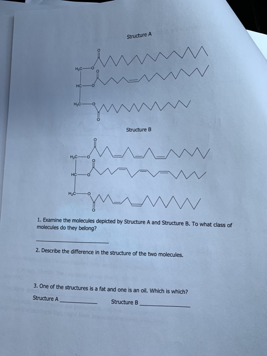 Solved Structure A H,C НС 0 Structure B 1. Examine the | Chegg.com