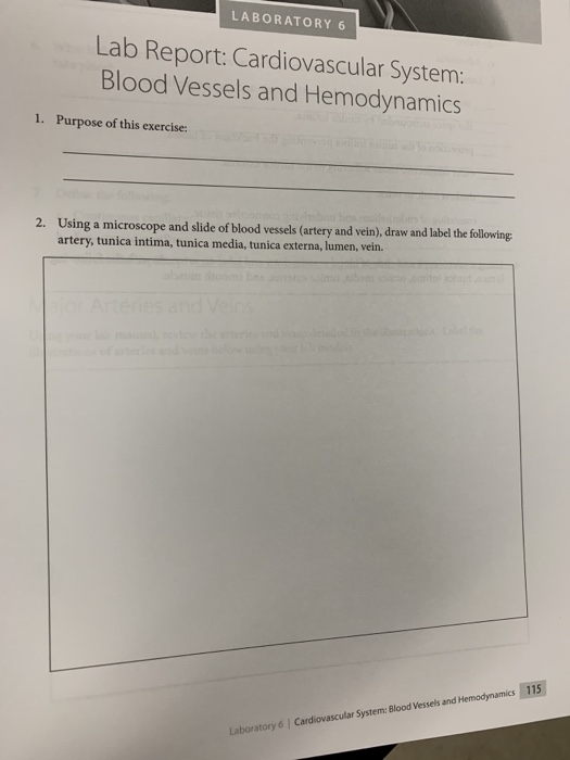 Solved LABORATORY 6 Lab Report: Cardiovascular System: Blood | Chegg.com