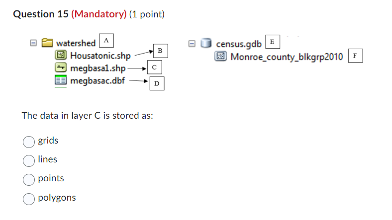 Solved Question 15 (Mandatory) (1 point) The data in layer C | Chegg.com