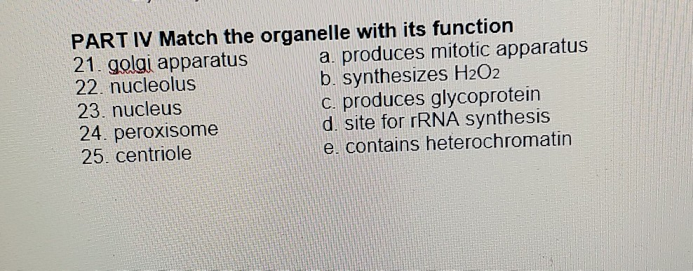 Solved PART IV Match the organelle with its function 21. | Chegg.com