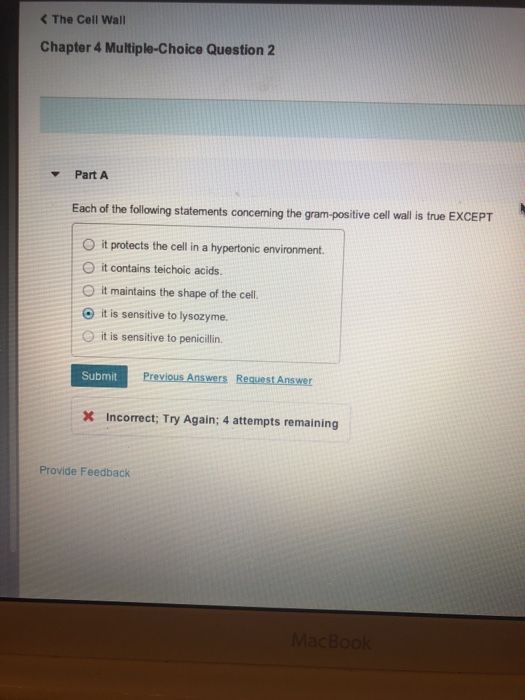 Solved each of the following statements concerning | Chegg.com