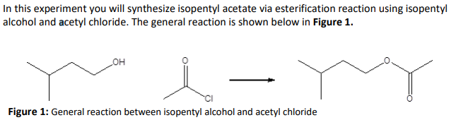 Solved In this experiment you will synthesize isopentyl | Chegg.com