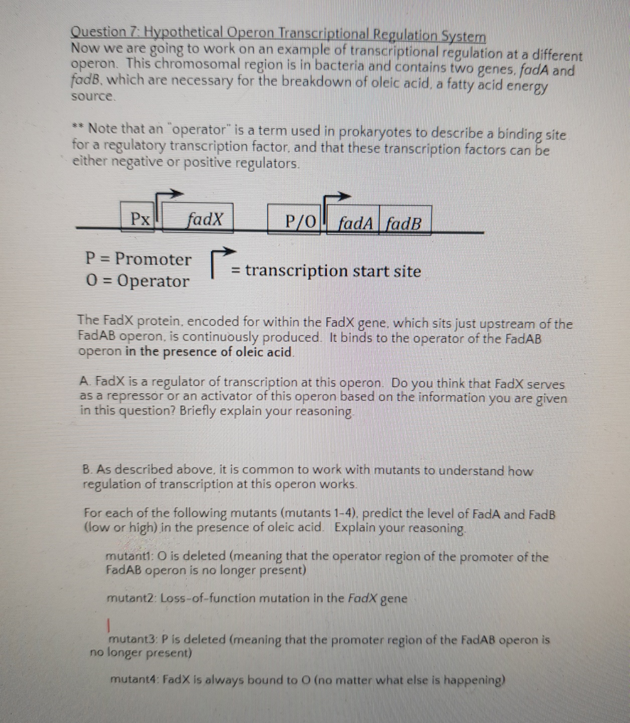 Solved Question 7: Hypothetical Operon Transcriptional | Chegg.com