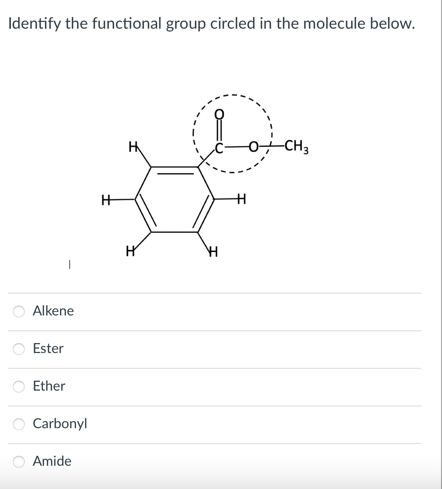 Solved Identify the functional group circled in the molecule | Chegg.com