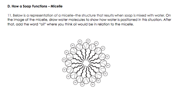 Solved D. How a Soap Functions - Micelle 11. Below is a | Chegg.com