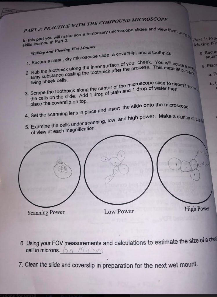 Cheek Cell Low Power