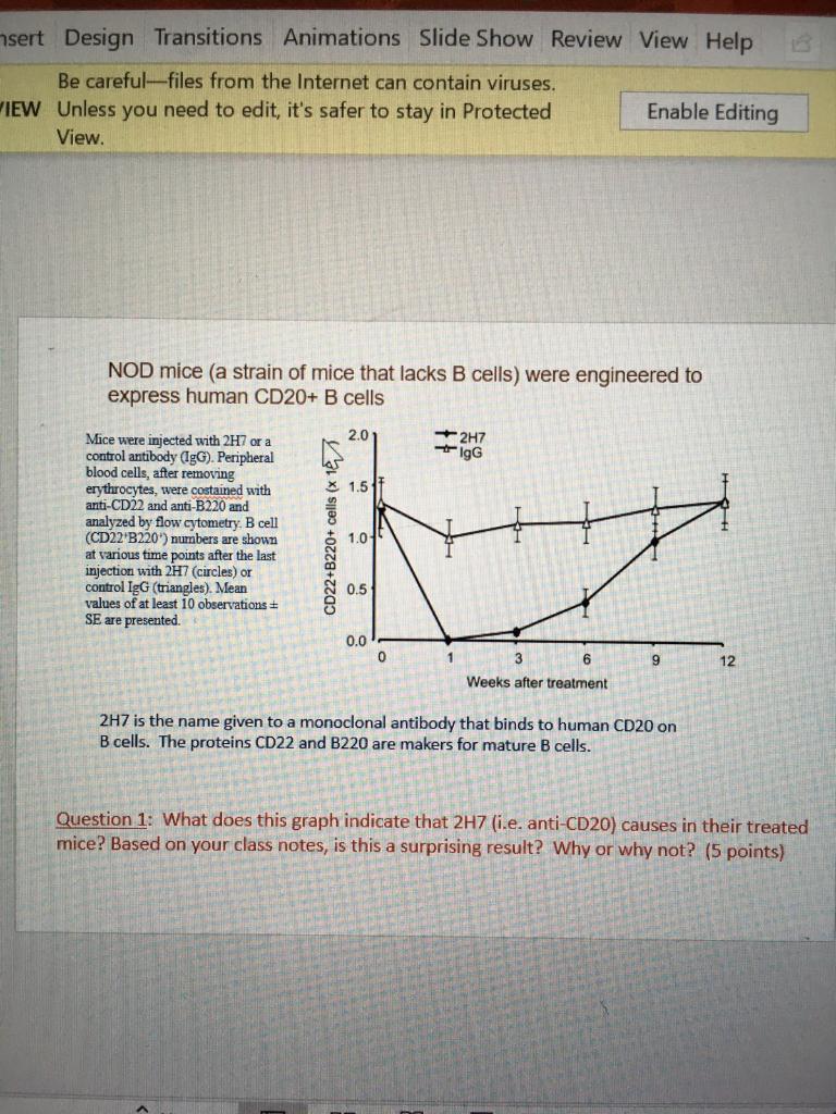 sert Design Transitions Animations Slide Show Review | Chegg.com