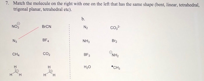 Solved Match the molecule on the right with one on the left | Chegg.com