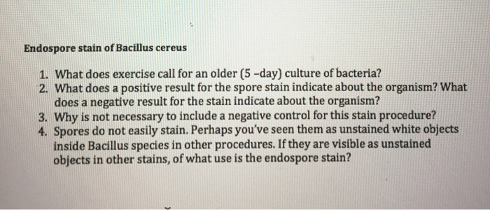 Solved Endospore stain of Bacillus cereus 1. What does | Chegg.com